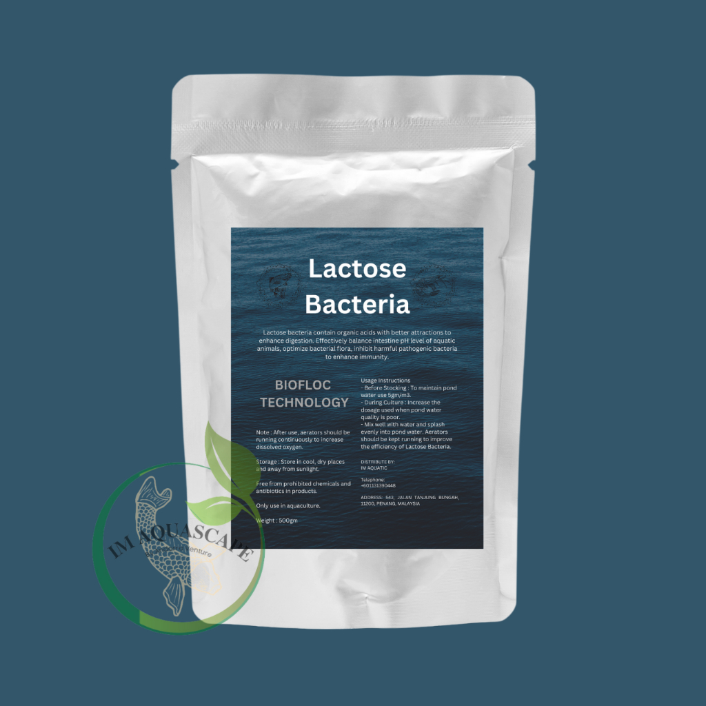 Lactose Bacteria Probiotic for Aquaculture Biofloc for Shrimp Fish Farming 500GM | Shopee Singapore