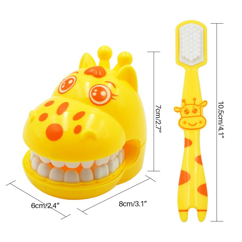 Giraffe Teeth Brush Demo Teeth Teaching Model Dental Model Teeth Model ...