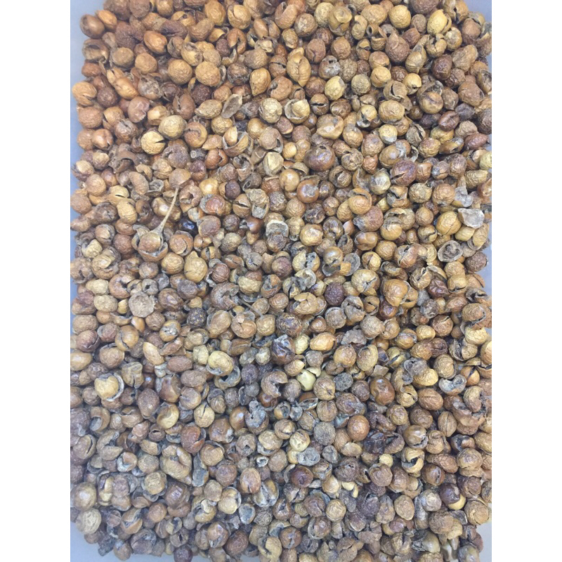 Sundakai vathal / Sun Dried Turkey Berry 100g / 250g / 500g | Shopee ...