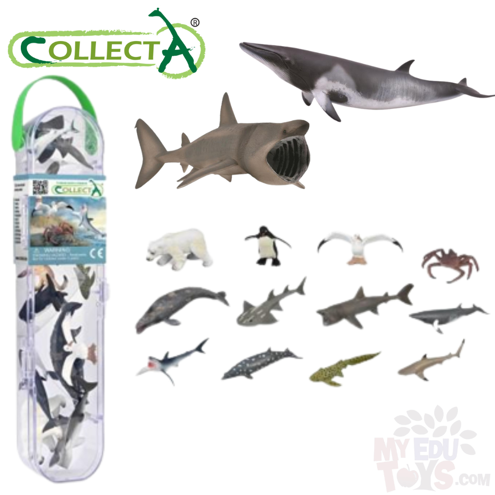 CollectA Box A1211 - 12PCS Of Mini Sea Animals Set 3 - Mini Action ...