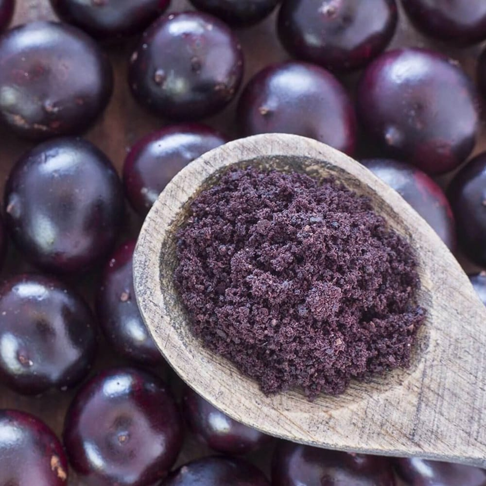 acai berry powder (Euterpe oleracea) assai acai palm tree huasai ...