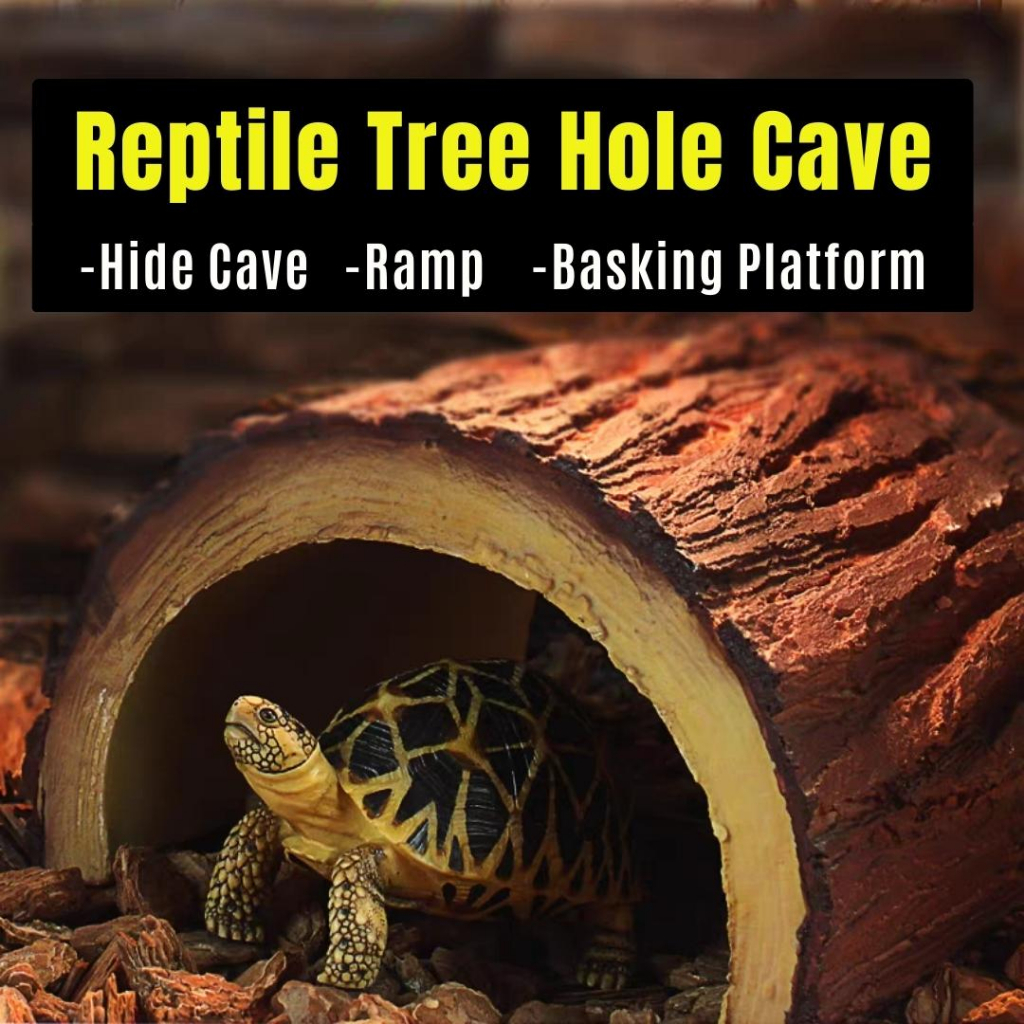 Reptile Hiding cave tortoise cave reptile tree hole hideout lizard ...