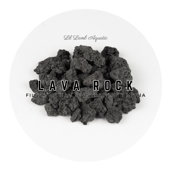 [Hardscape] Lava Rock Volcanic Rock Porous Bio Filter Media Substrate ...