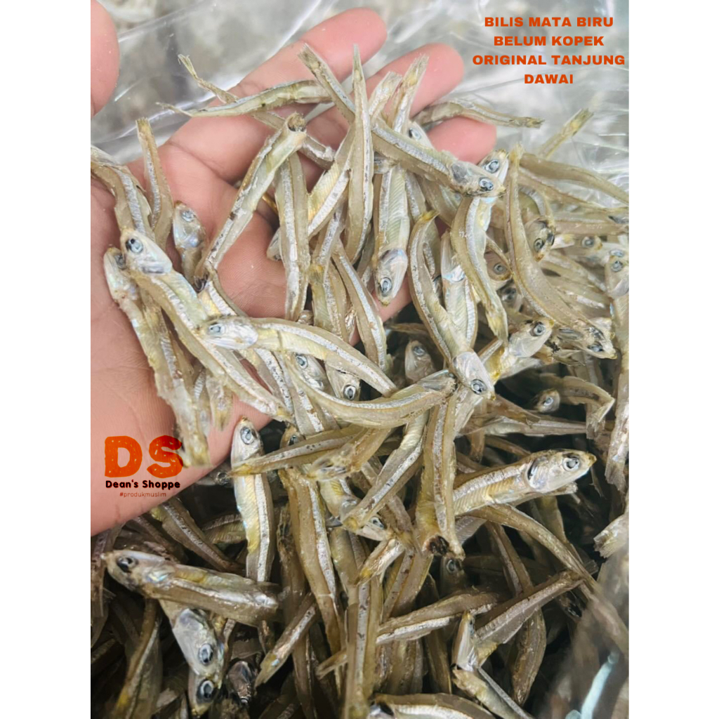 MATA Blue Eye Bilis Grade 4A (Premium Grade) | Shopee Singapore