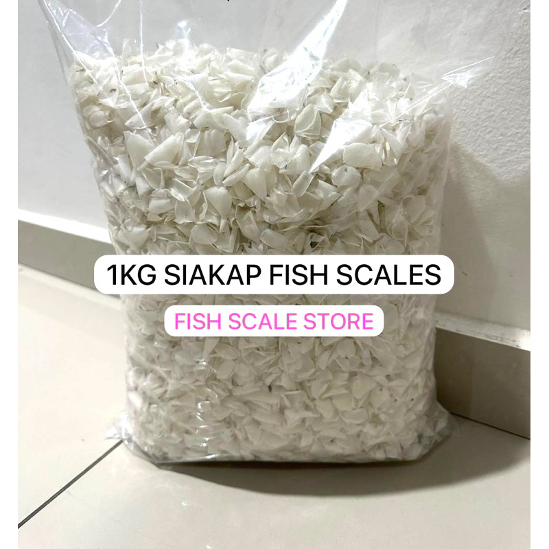 [Large Slices] Fish Scales 1kg/Big Fish Scales/Big Fish Scales Fish ...