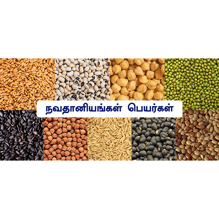 Navathaniyam (Mix of Nine Grains) | Shopee Singapore
