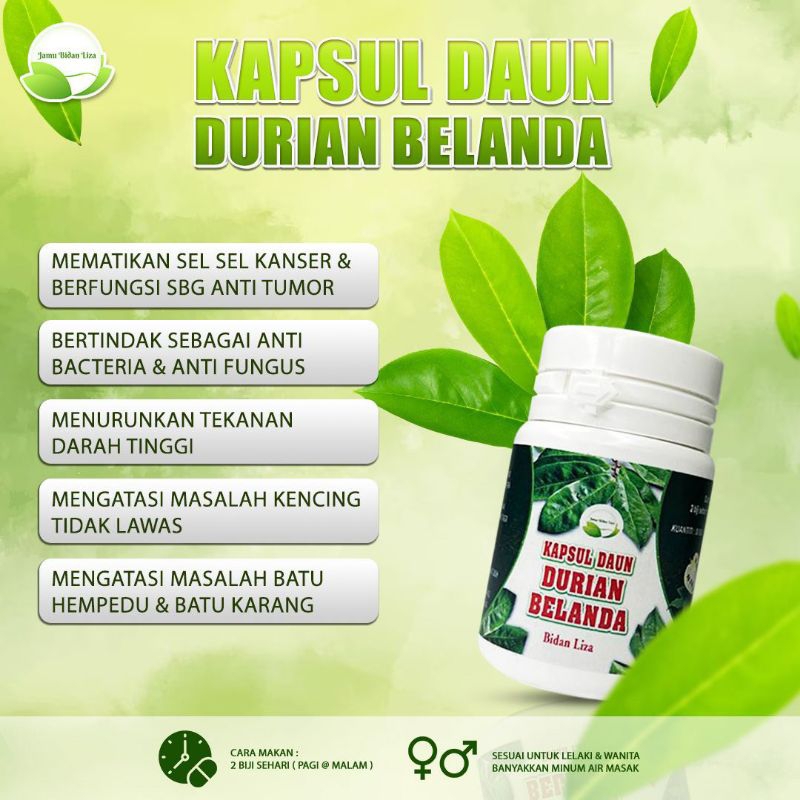 Netherlands DURIAN LEAF CAPSULES (30 Capsules) | Shopee Singapore