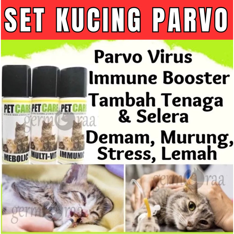 Ubat Parvo Kucing Parvo Virus Demam Murung Monyok Stress Ulser Immune ...