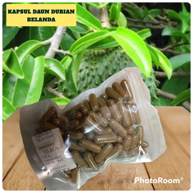 DUTCH DURIAN LEAF CAPSULES (100 seeds) | Shopee Singapore