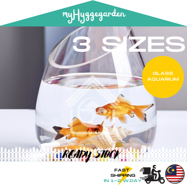 Transparent Incline Shape Clear Glass Fish Bowl Aquarium Home Office ...