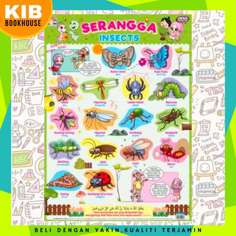 Insect Learning Poster Insects Educational Poster for Muslim Children ...