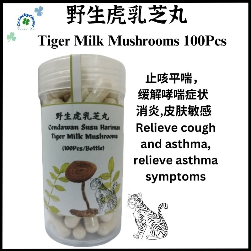 Buy 2 Free 1 Cendawan Susu Harimau/纯野生虎乳芝 /Tiger Milk mushrooms ...