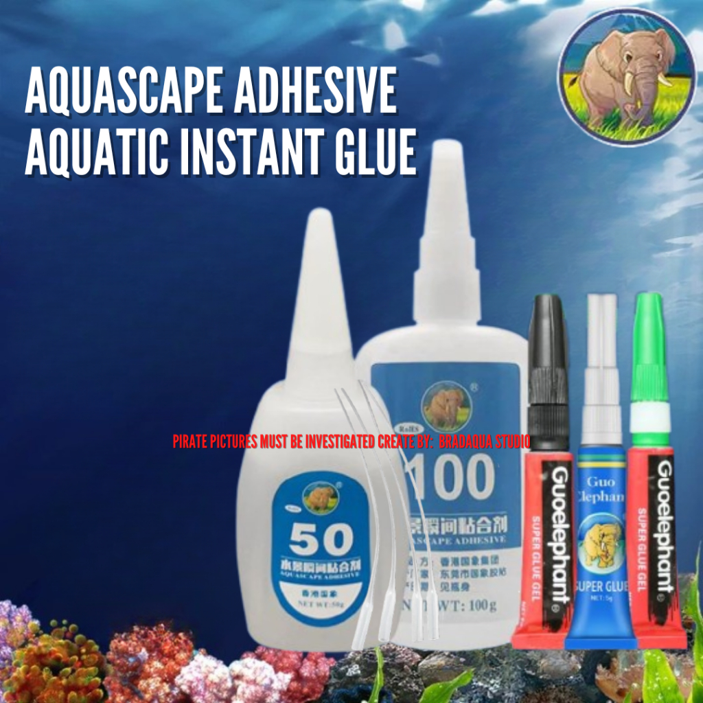 GUO ELEPHANT Aquascape Adhesive Aquatic Glue Plants Grass Adhesive Fish ...