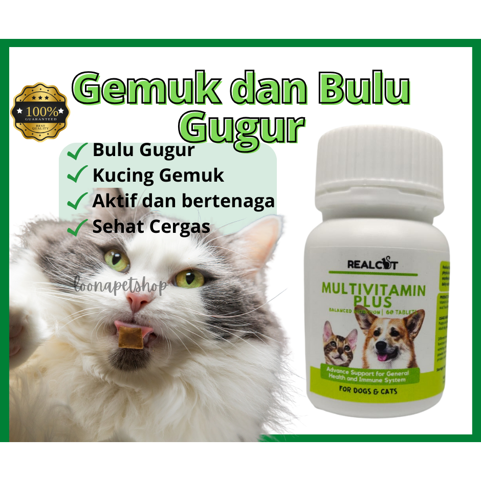 Cat Vitamin Cat Booster Fat Cat Thick Fur Cat Multivitamin Cat Dog ...