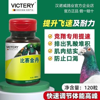 Vitamin untuk terkukur/merbuk Hannover Competition Golden Dancing ...