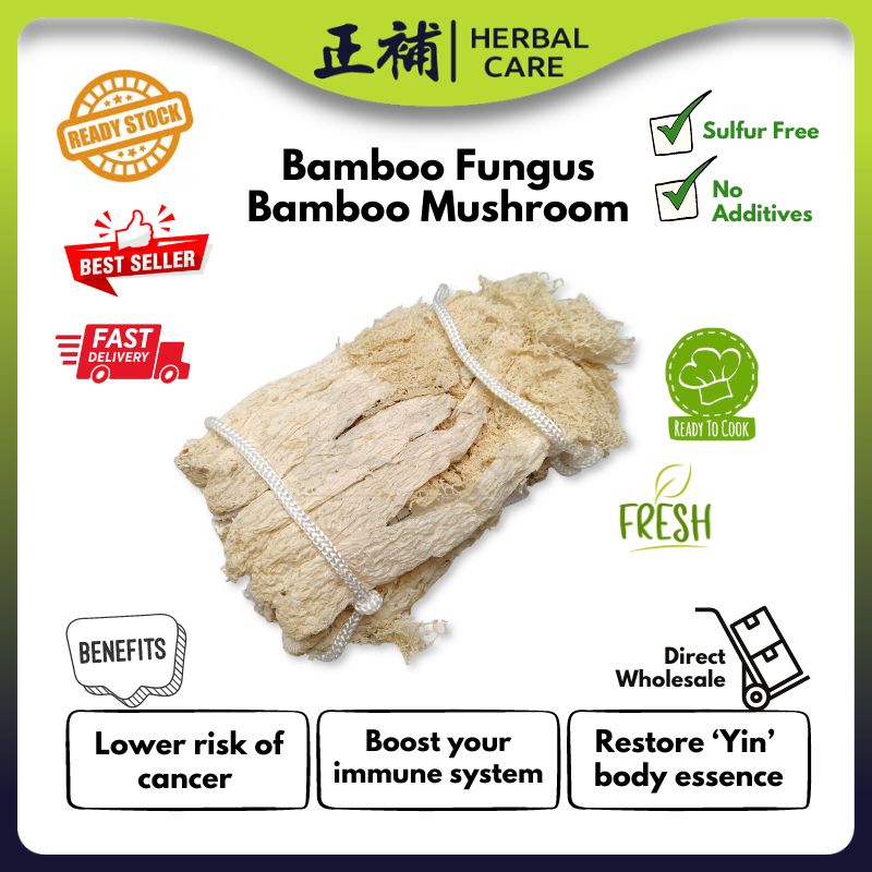 Herbal Care Bamboo Fungus 竹笙 (100g) Bamboo Mushroom Bamboo Pith 竹荪 ...