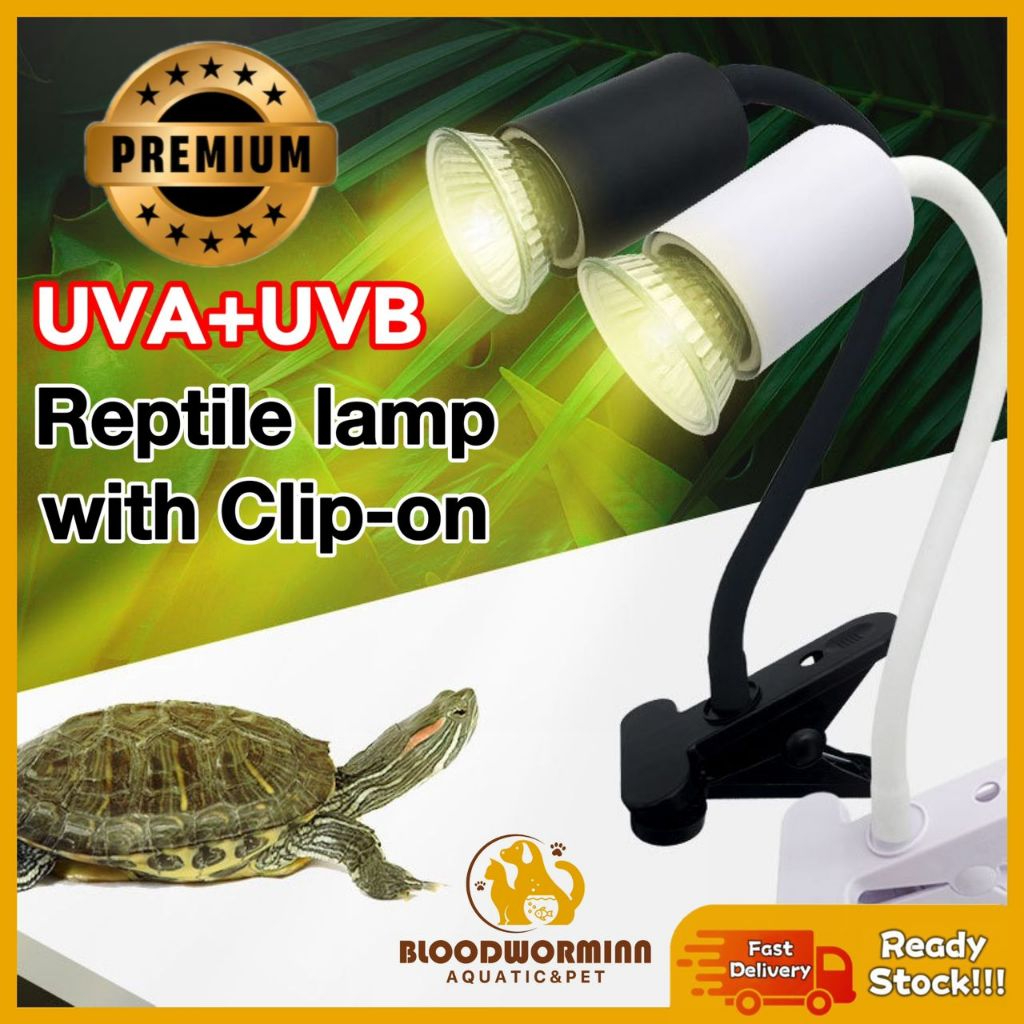 Clip On Basking Light for Reptile Turtle Lizard 25W/50W/75W UVA + UVB ...