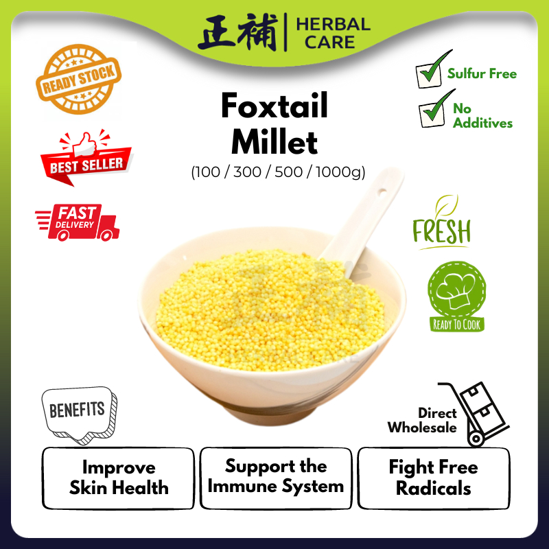 Foxtail Millet 小米 小黄米 粟米 粱 Bijirin Milet Sekoi Jawawut Jewawut 100g ...