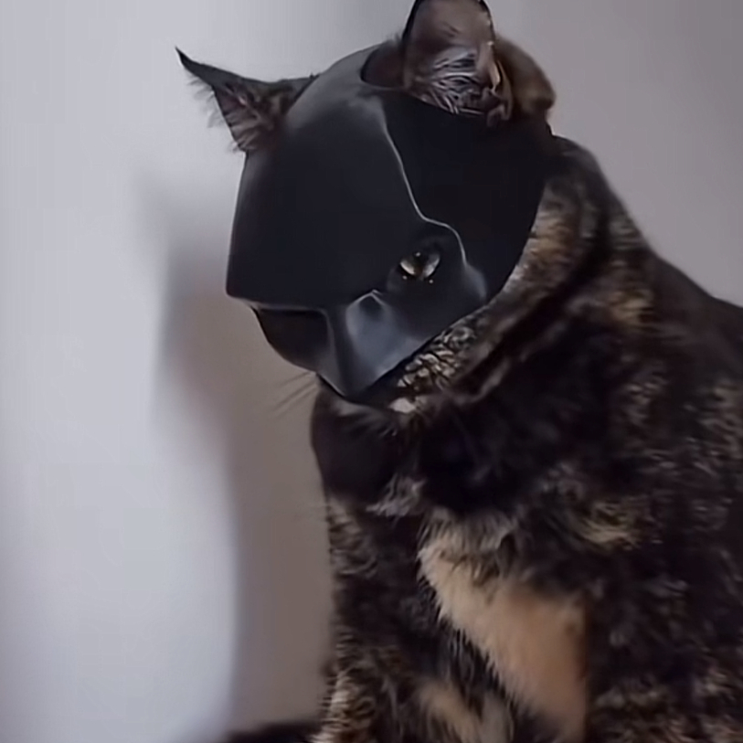 [3D Printed] Batman Helmet Mask For Cat (Batcat) | Shopee Singapore