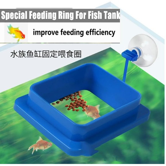 Plastic Aquarium Feeding Ring Floating Food Tray Squarecircle Accessory ...