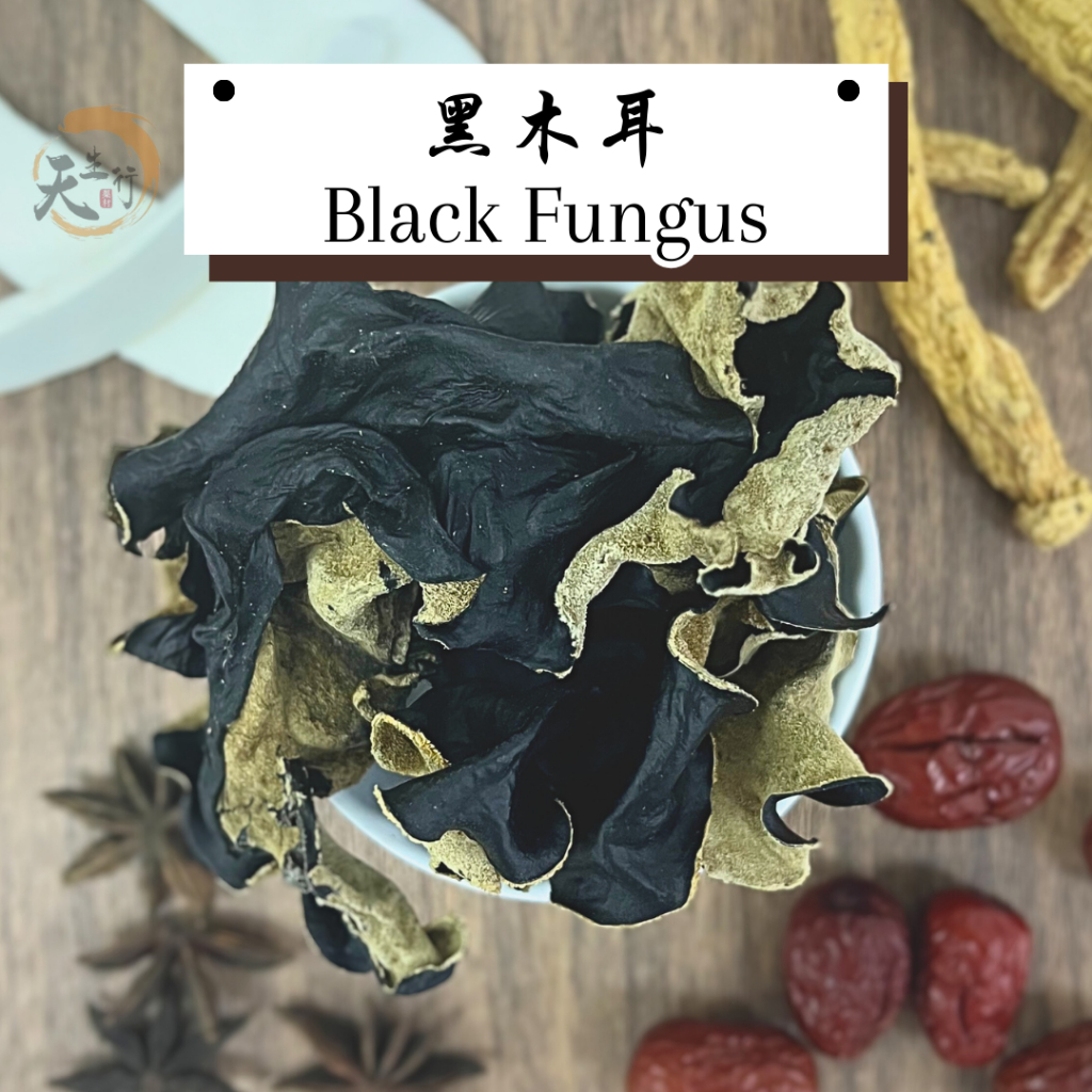 [TIEN Sung] Clear Water Black Fungus/White Back Black Fungus/Black ...