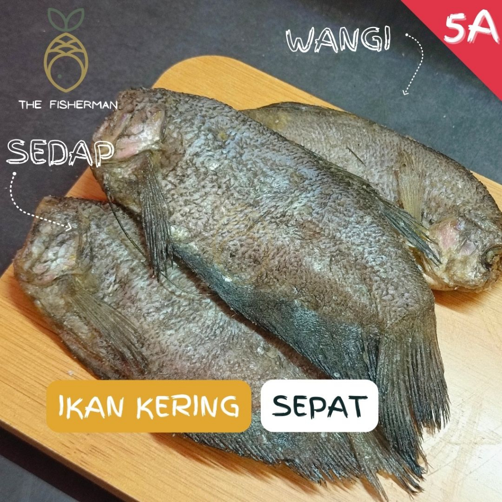 Salted Fish Big Sepat Dried Sepat Fish Salted Sepat Fish Dried Sepat ...