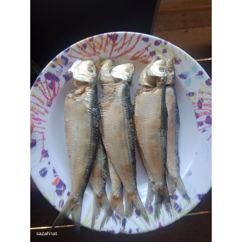 Dried Tamban Fish (500g) | Shopee Singapore
