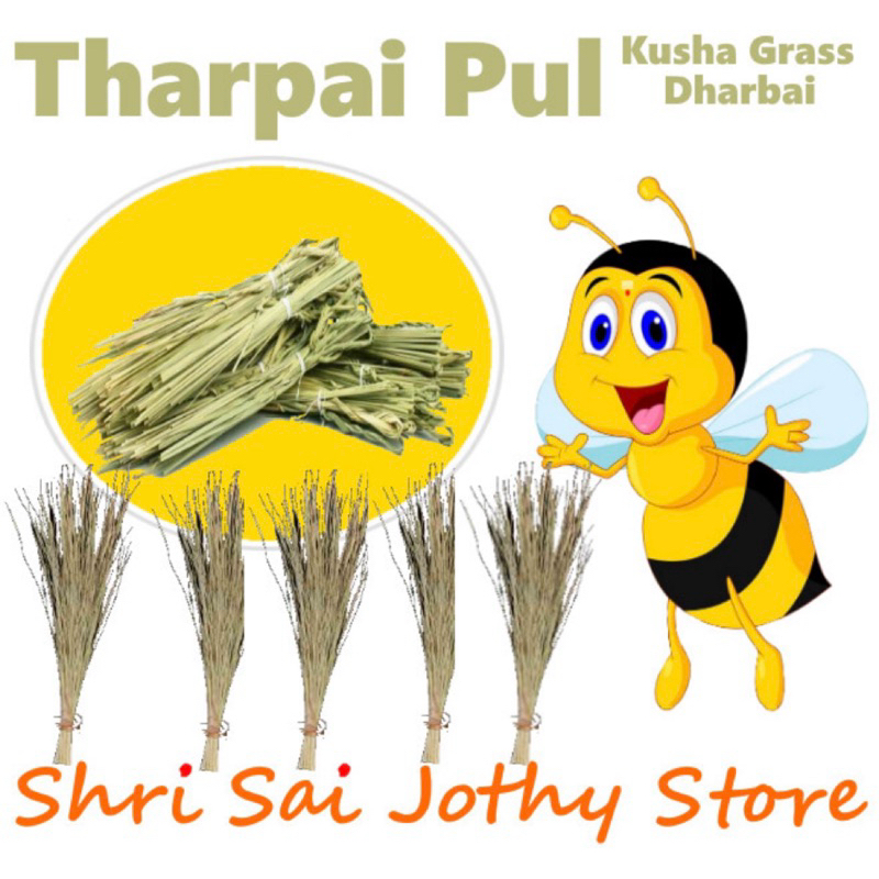 Tharpai Pul Dharbai Kusha Grass for Pooja Tharbai | Shopee Singapore