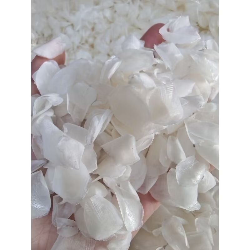 Sisik Ikan Siakap/Collagen/Collagen 500g Fish Scale Big Stone Turtle ...