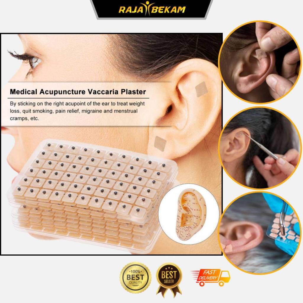 Acupuncture Needle Ear Seeds 60pcs / 1 pack and 600pcs / 10 pack ...