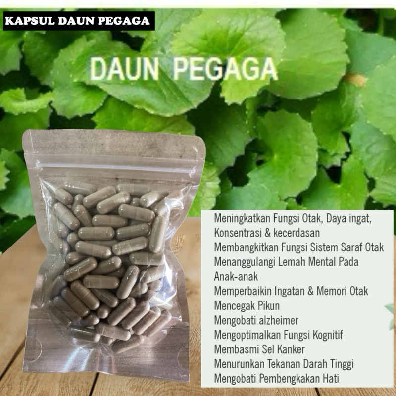 PEGAGA LEAF CAPSULES (100 seeds) | Shopee Singapore
