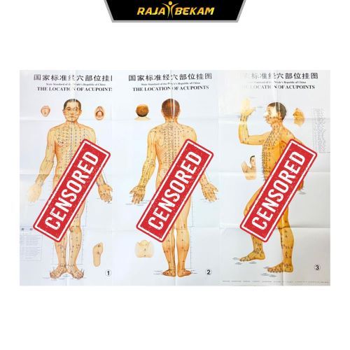 Poster Wall Map Acupoint Acupuncture Reference | Shopee Singapore