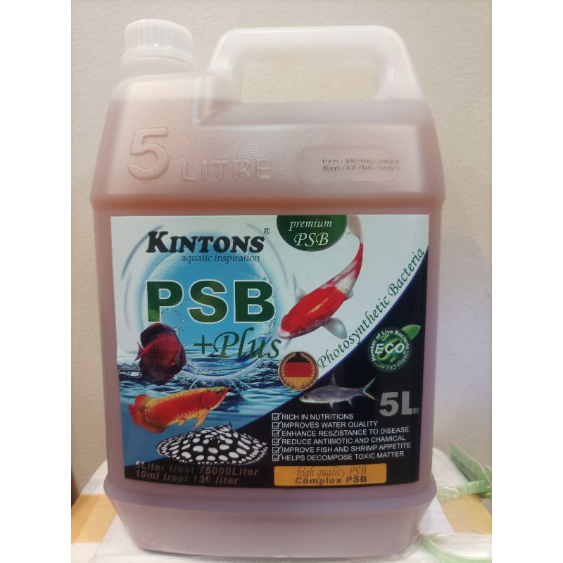 KINTONS PSB +PLUS Photosynthetic Bacteria 5Litre \ 光合菌 | Shopee Singapore
