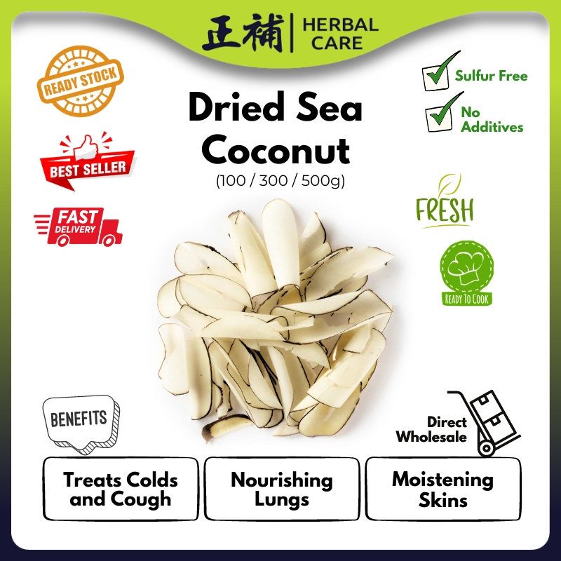 Herbal Care Sea Coconut 海底椰 100g 300g 500g | Shopee Singapore