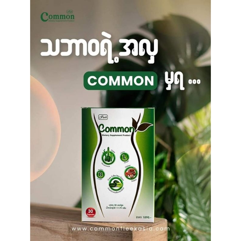 Common 1Box 30s | Shopee Singapore