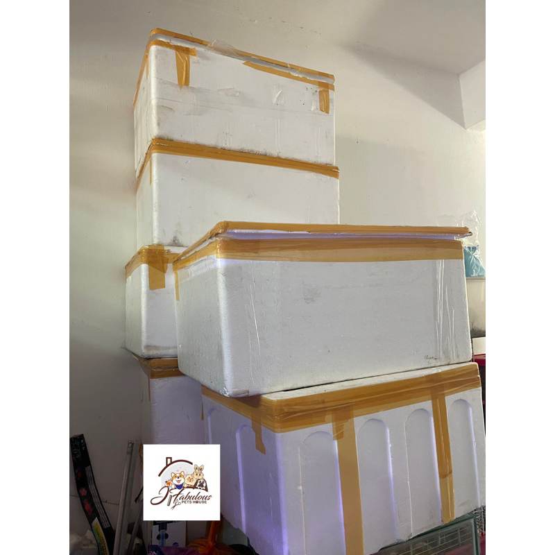 【Second Hand】XL Cooler Box Foam box Polystyrene box Seafood/Frozen food ...
