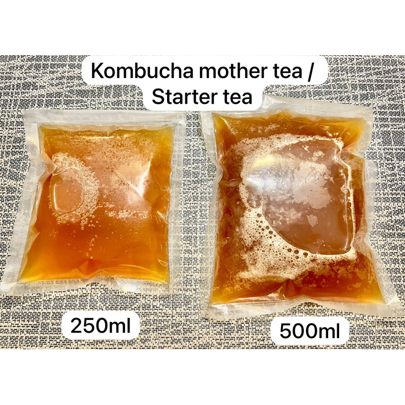 Kombucha Mother Tea / Kombucha Starter Tea / Kombucha Starter *(no ...