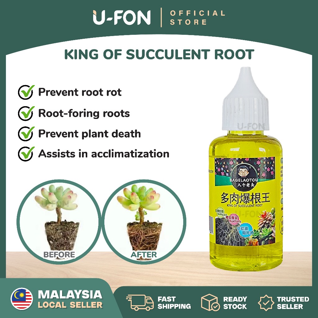 King Of Succulent Root Succulent Root King Strong Fast Root Liquid ...