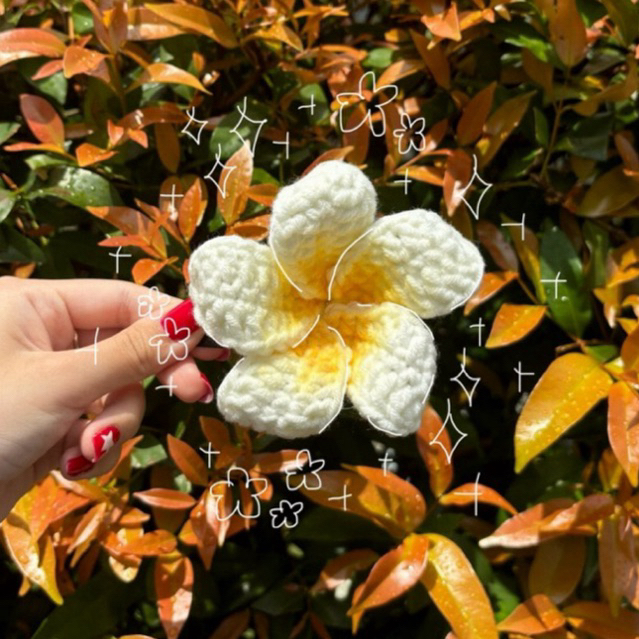 plumeria flower clip | hawaii white beach flower | frangipani ...