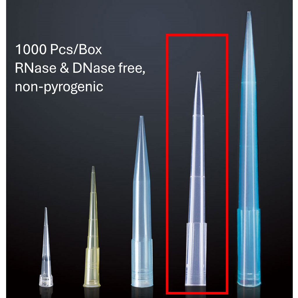 1250ul Clear Pipette Tips, Micropipette Tips, Bulk, 1000 Pcs/Pack ...