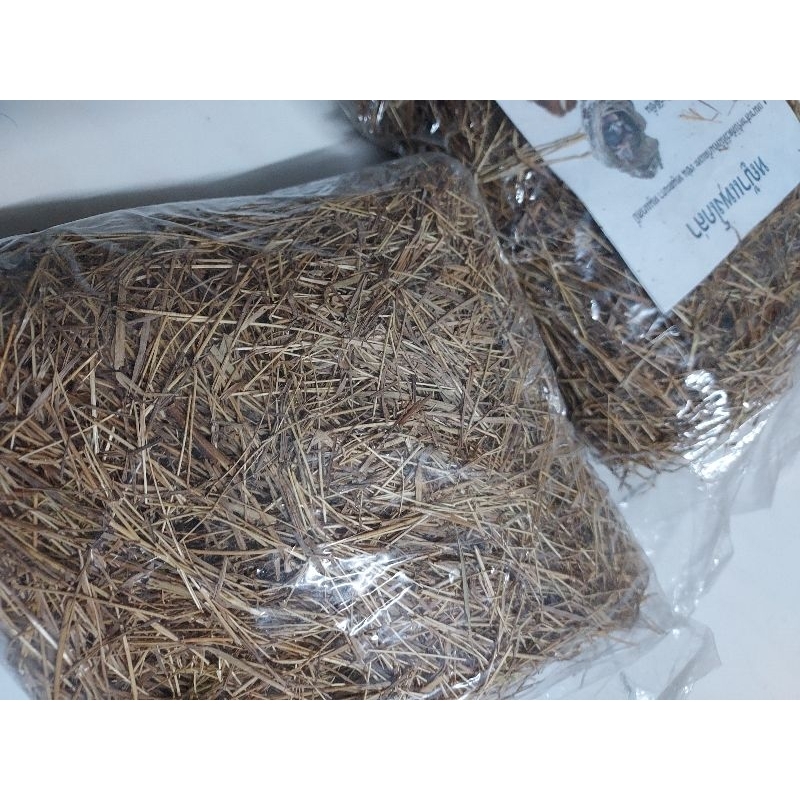 RUMPUT SARANG BURUNG (FINCH AND LOVE BIRDS) | Shopee Singapore