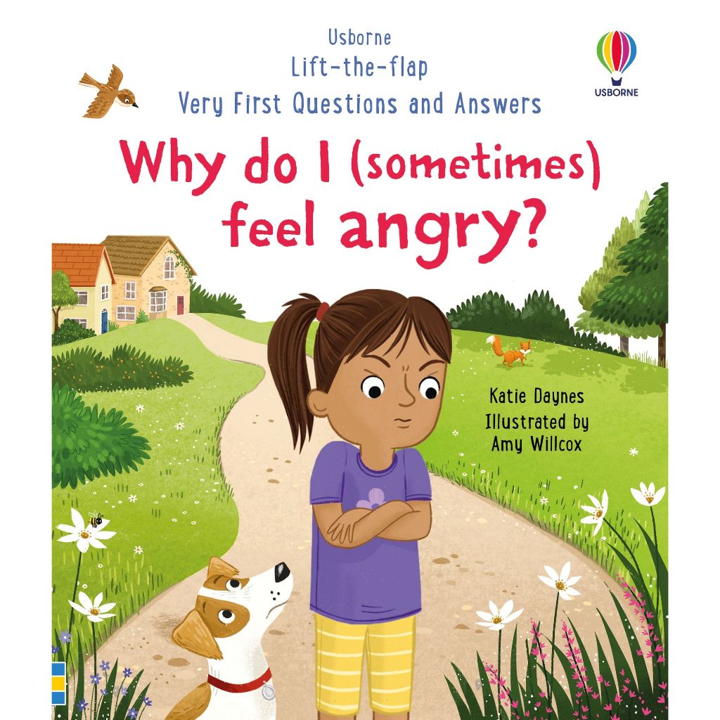 Usborne Why do I sometimes feel angry?/ Usborne Very First Questions ...