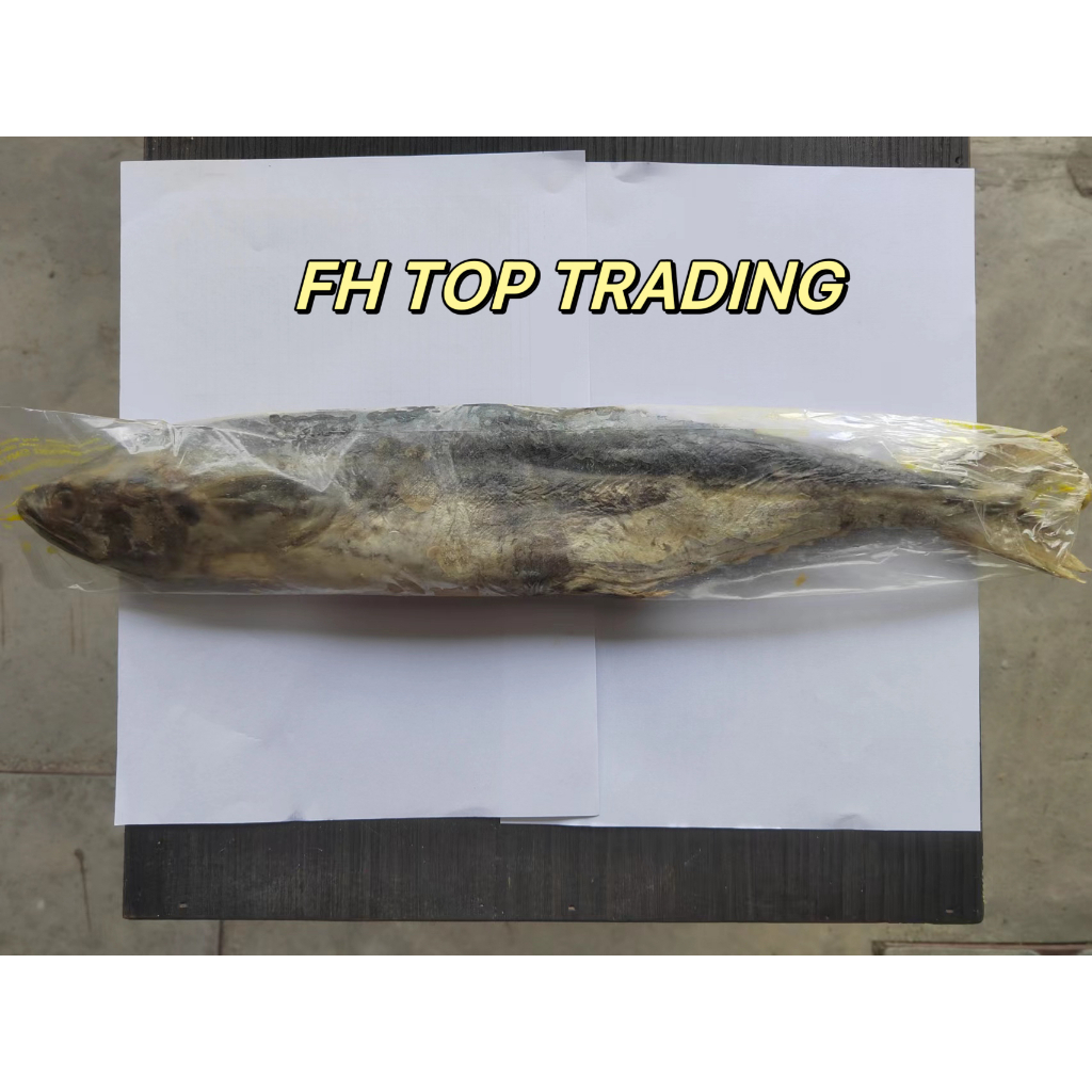 Salted mackerel fish 500+gram 1 kg++/ | Shopee Singapore