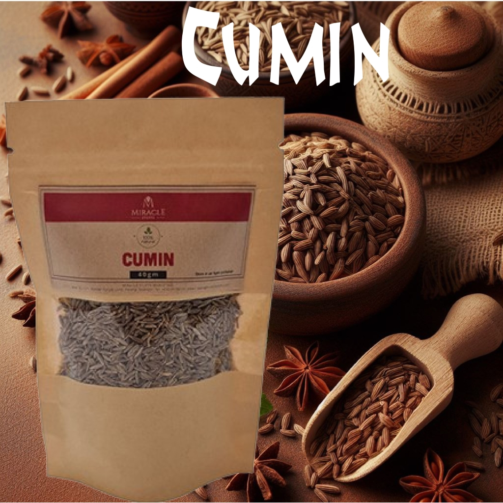 Jintan Putih - Cumin Seeds (Packing : 40g) | Shopee Singapore