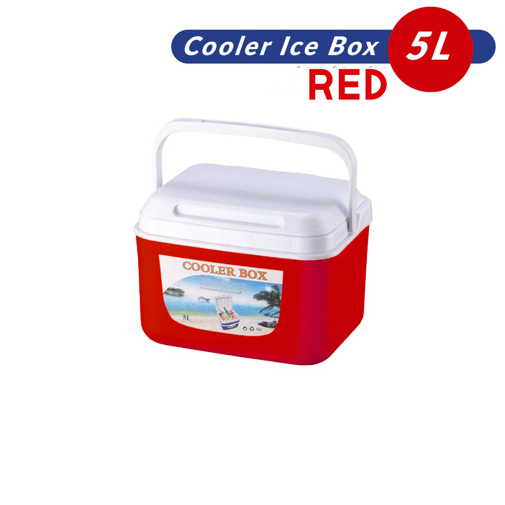 5L 13L Small Cooler Ice Box for Camping Drink Fishing Heavy duty ...