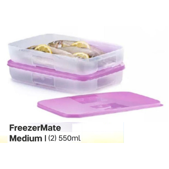 Tupperware Freezermate Medium I 550ml (2 pcs) | Shopee Singapore