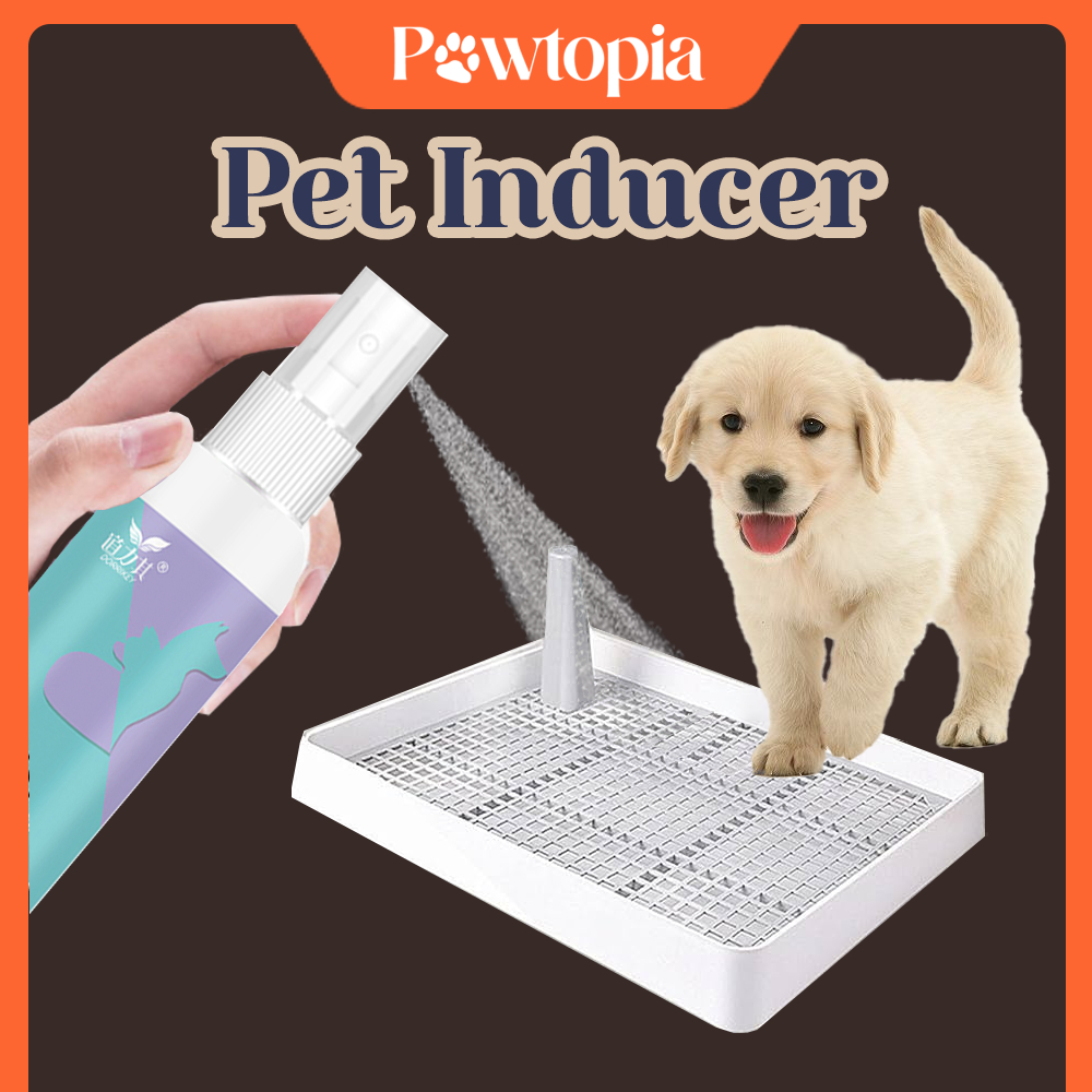 PAWTOPIA Dorrikey Pet Inducer Spray Pee Poop Toilet Training Urine ...