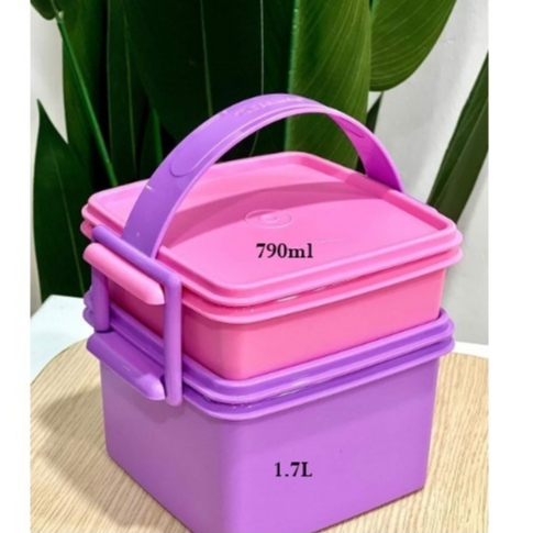 Tupperware: Tiffin Delight Set / Double Deep Set Box With Cariolier ...