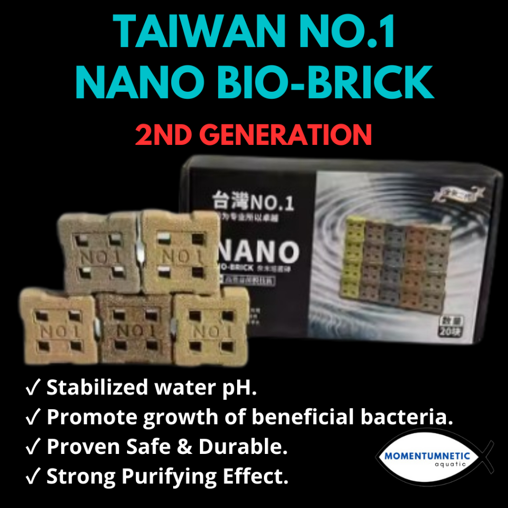 Taiwan No 1 Nano Brick (1 box - 20 pcs) High Performance Nano Bio Brick ...