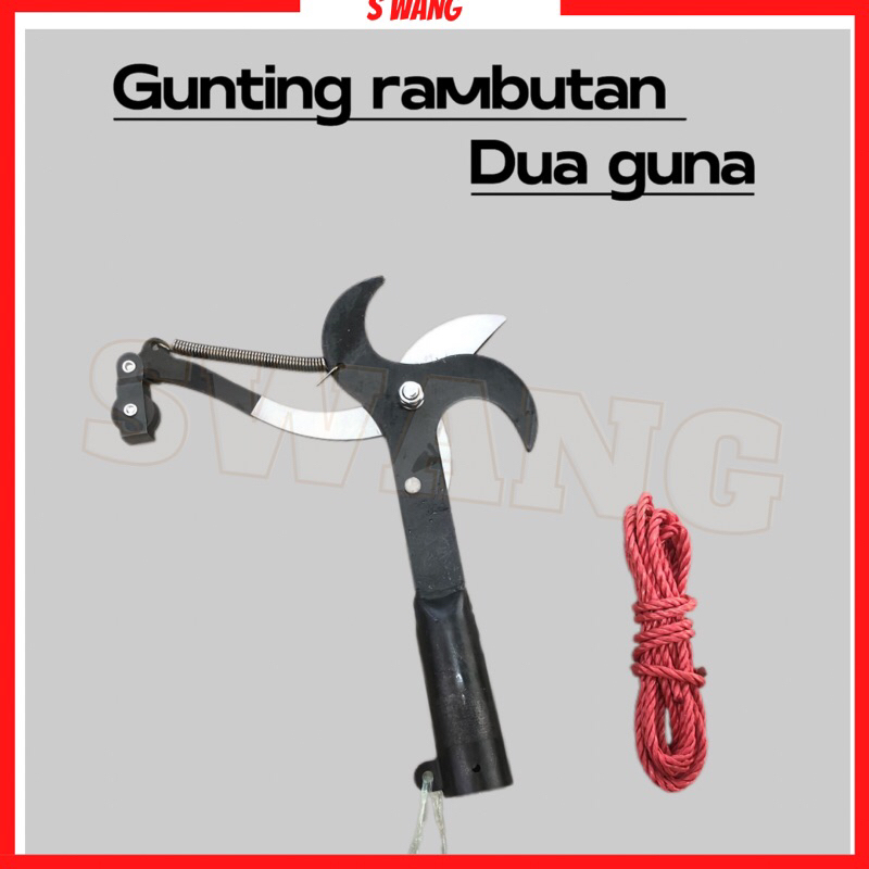 RAMBUTAN DOUBLE CUTTER PRUNNER / GUNTING RAMBUTAN DUA MATA | Shopee ...